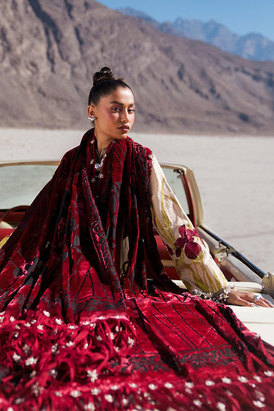 S241-003B-3CP – Traditional Image