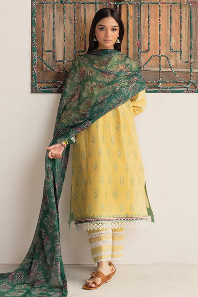 CHAMPA – Traditional Image